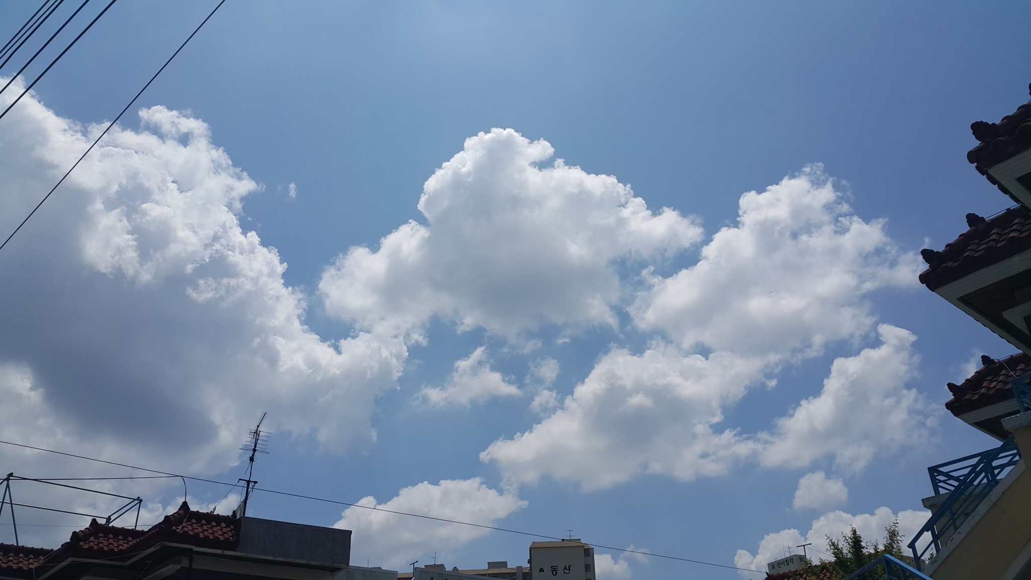 날씨 좋네요 ㅍㄷㄷㄷ - 팝코넷 | 팝게&톡 이슈게시판