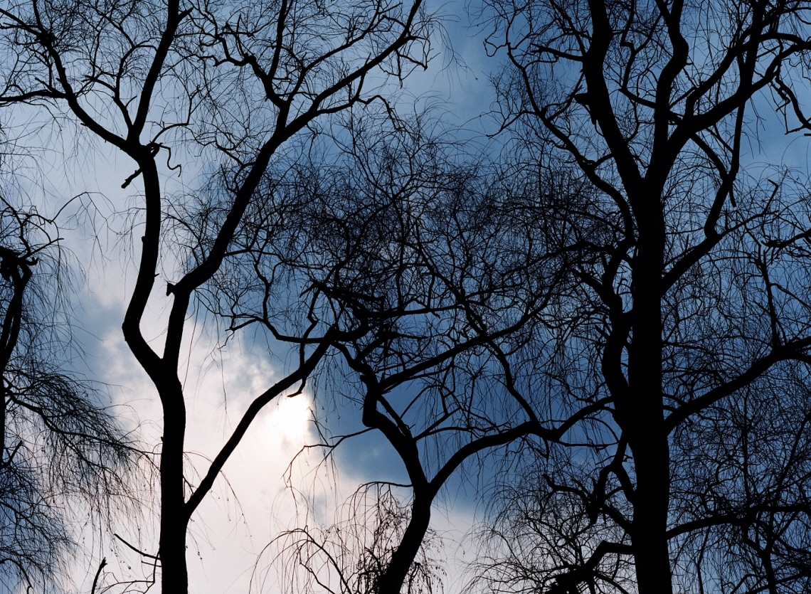 [645N+fa645 4585+fa645 150] 남이섬에서... - 기타