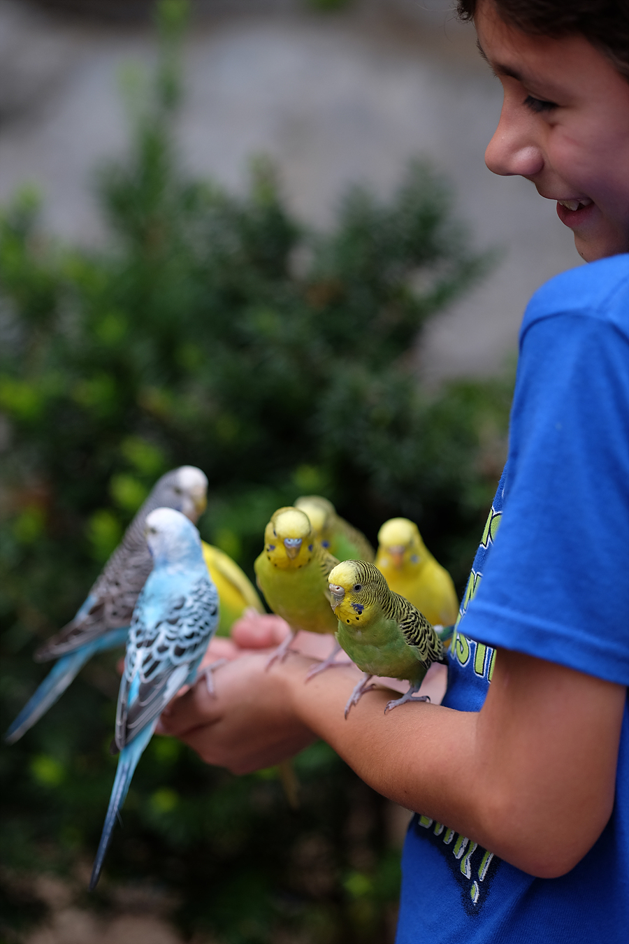 [X-T1] XF90 근접 촬영 능력 - 후지필름 Talk