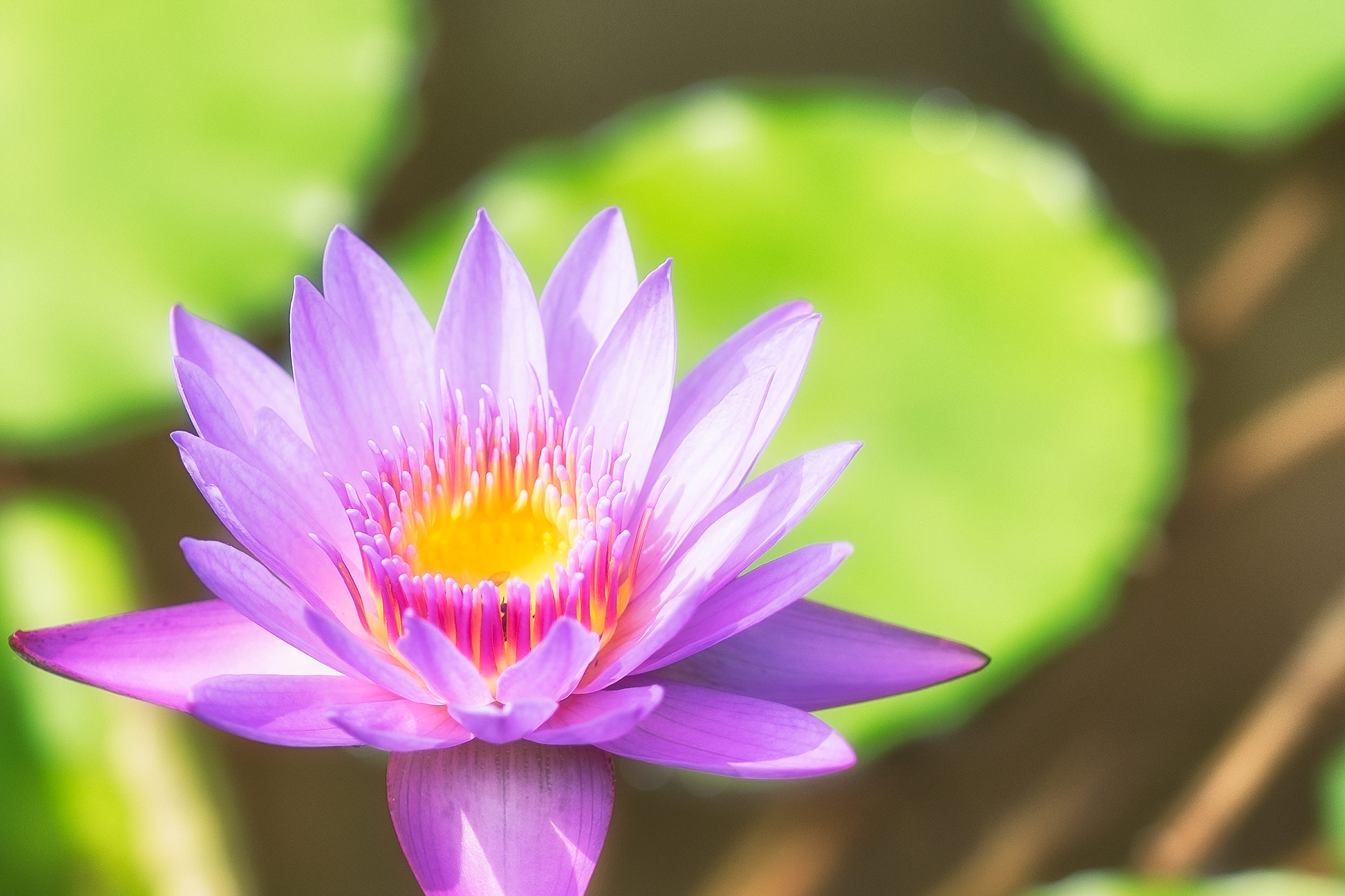 [t1+xf90] 광명 동굴 테마파크에 다녀왔습니다. - 후지필름 Talk