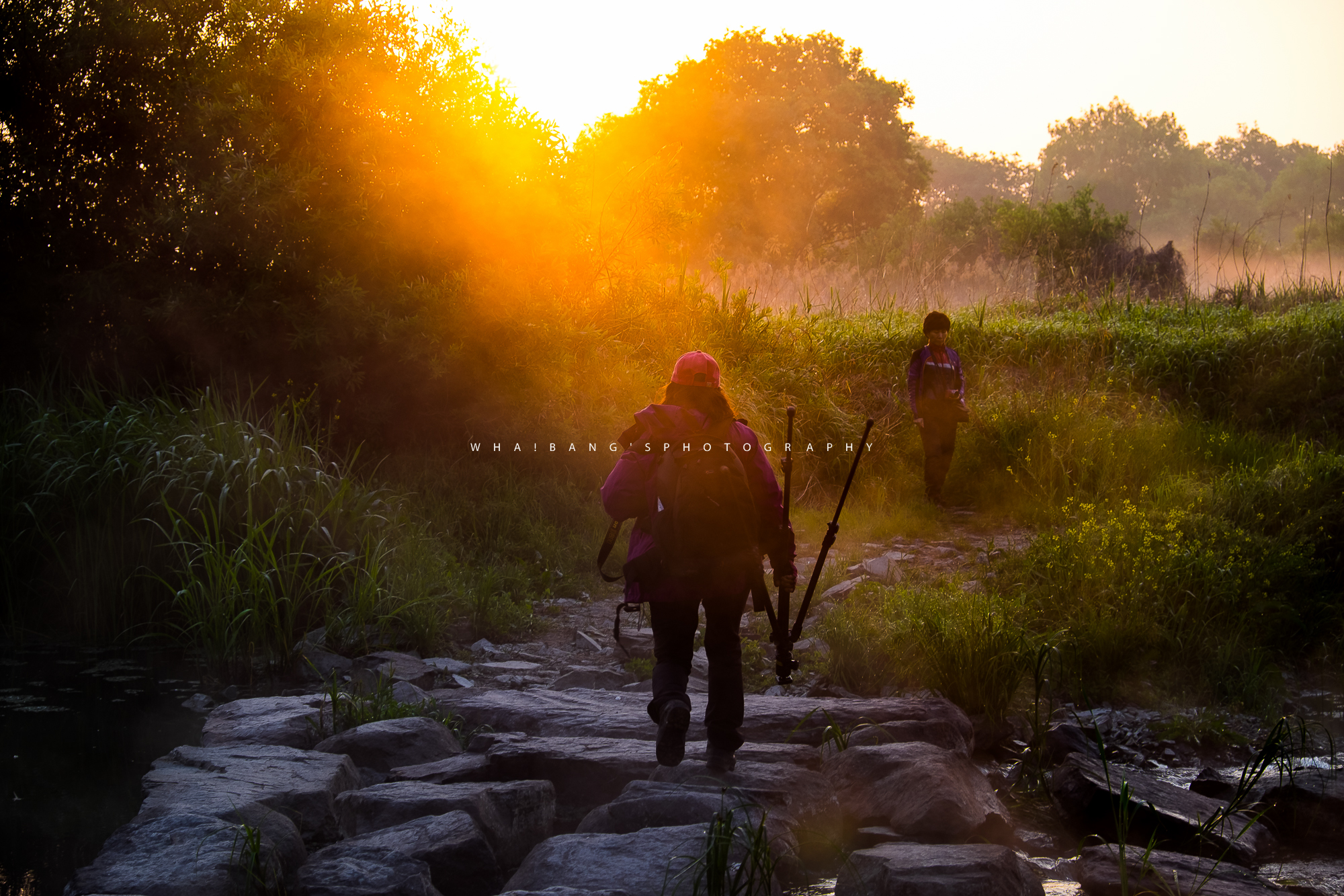 저의 문제는 사진을 안찍어도 아직 - 후지필름 Talk