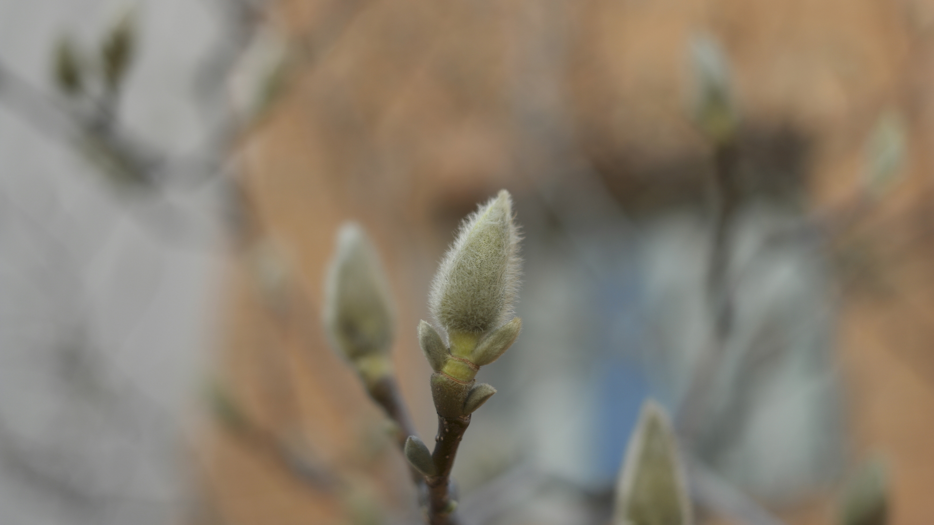 [nx500] 삼성에 놀랬네요 - 삼성 Talk