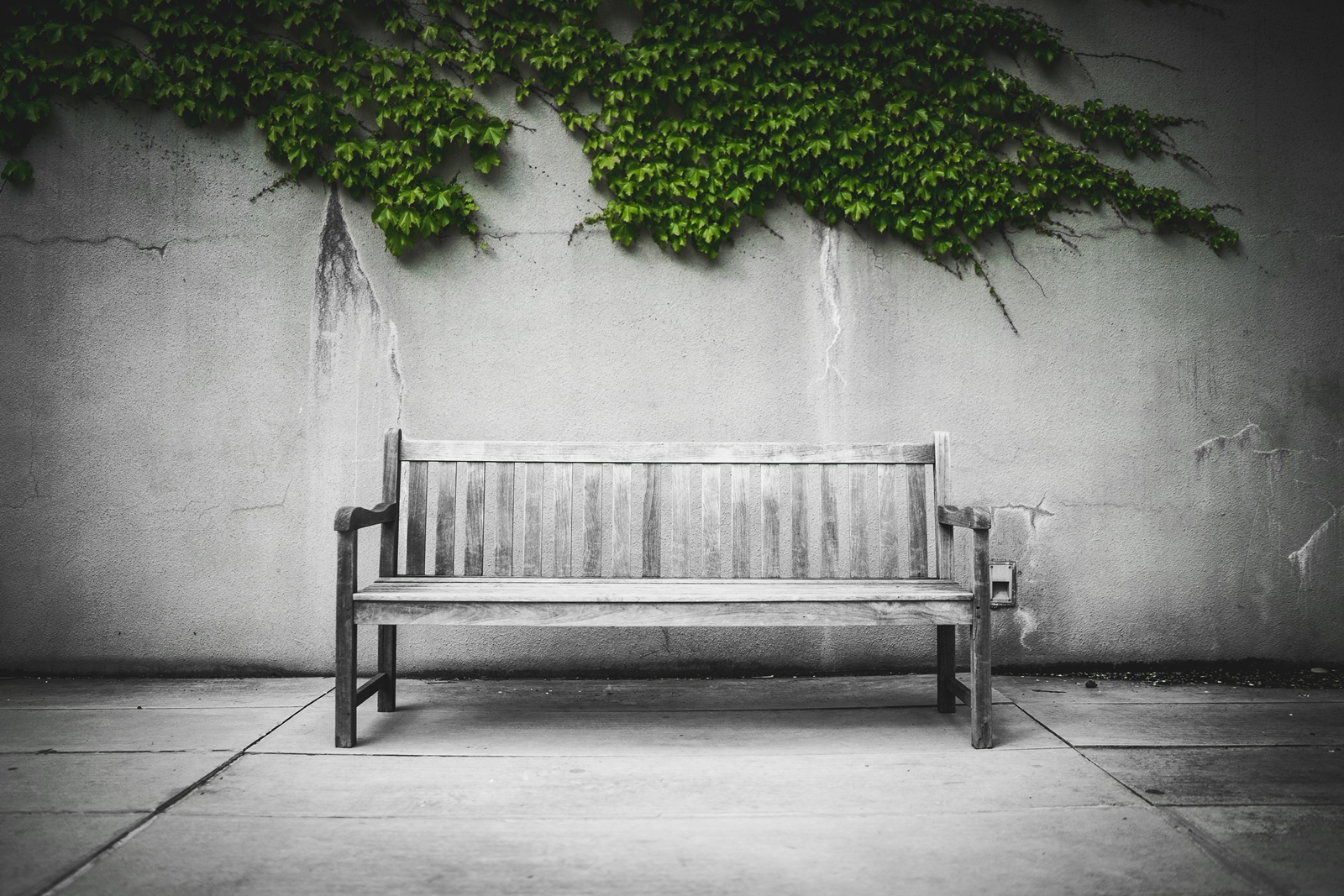 [A7M2 + FE 35mm F1.4] 잠시 쉬어가세요. - 소니 Talk