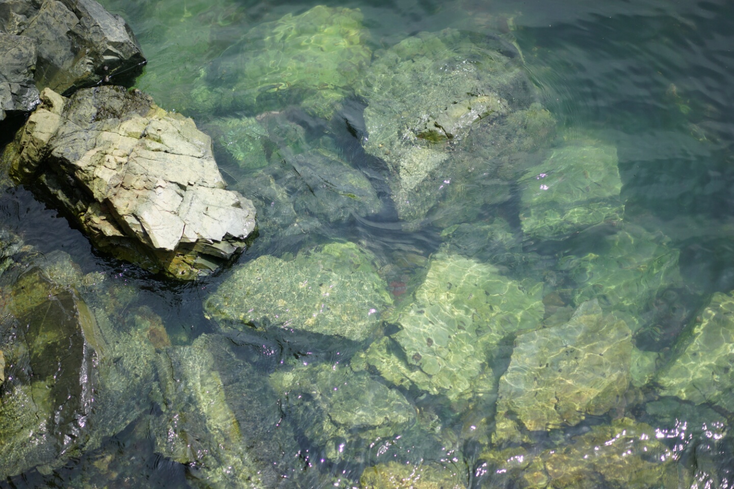 A7M2 (55.8z)색감질문. - 소니 Talk