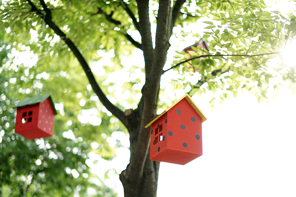 [a7m2+50.4za] 호수공원 산책 - 소니 Talk