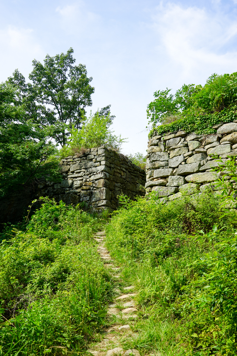 [A7m2+24-240] 천생산 - 소니 Talk