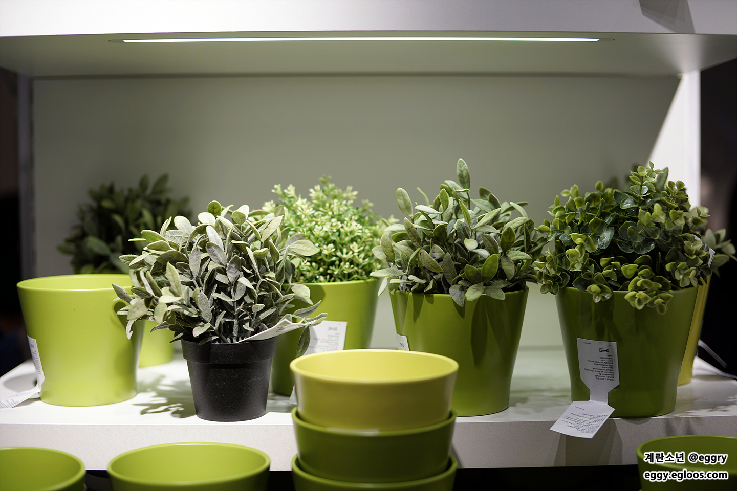 [A7R2+50.4ZA] 이케아 구경 - 소니 Talk