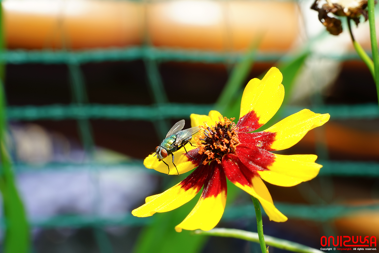 [a7m2 + 90마] 몇년만에 삼각대를 꺼내들었습니다 ㄷㄷㄷㄷㄷㄷㄷ - 소니 Talk