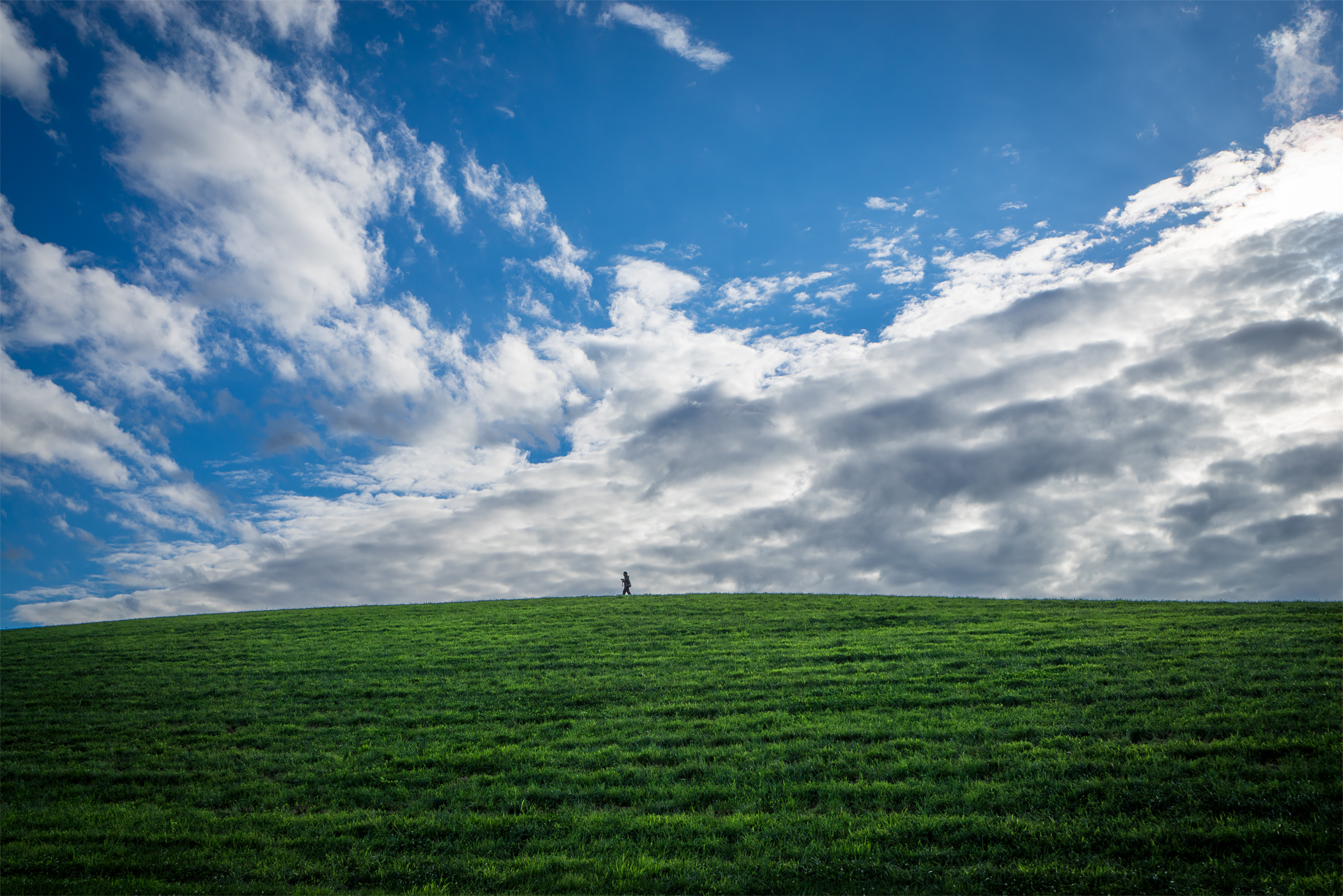 [a7r] 서산 목장 - 소니 Talk