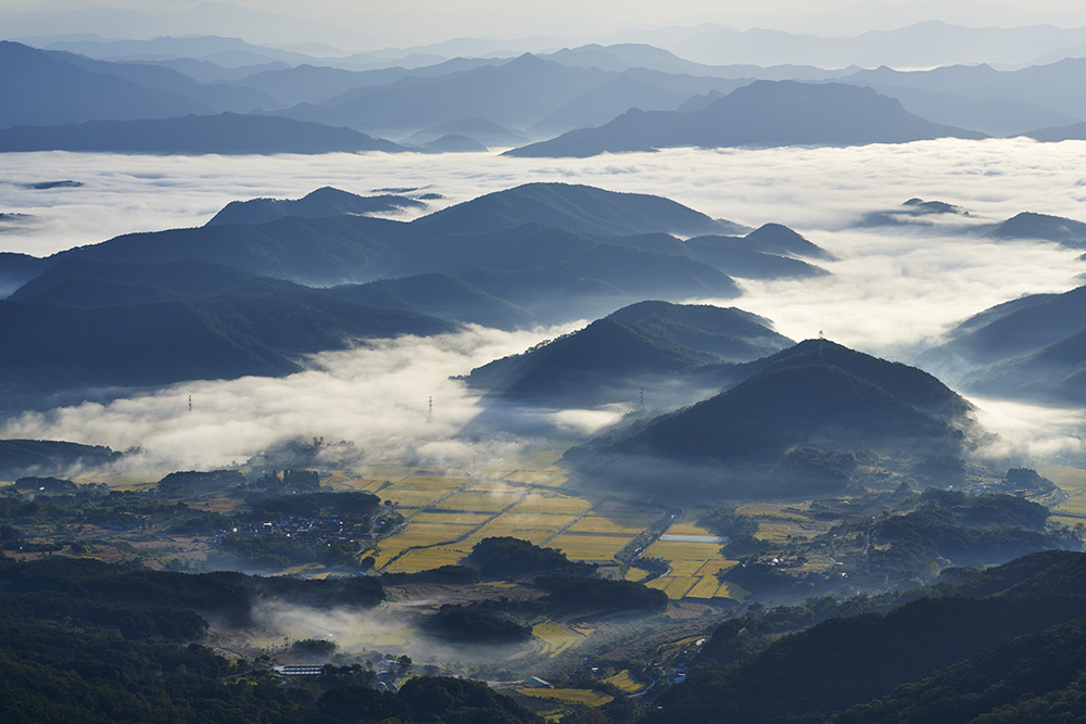 A7r2를 쓰면서 - 소니 Talk