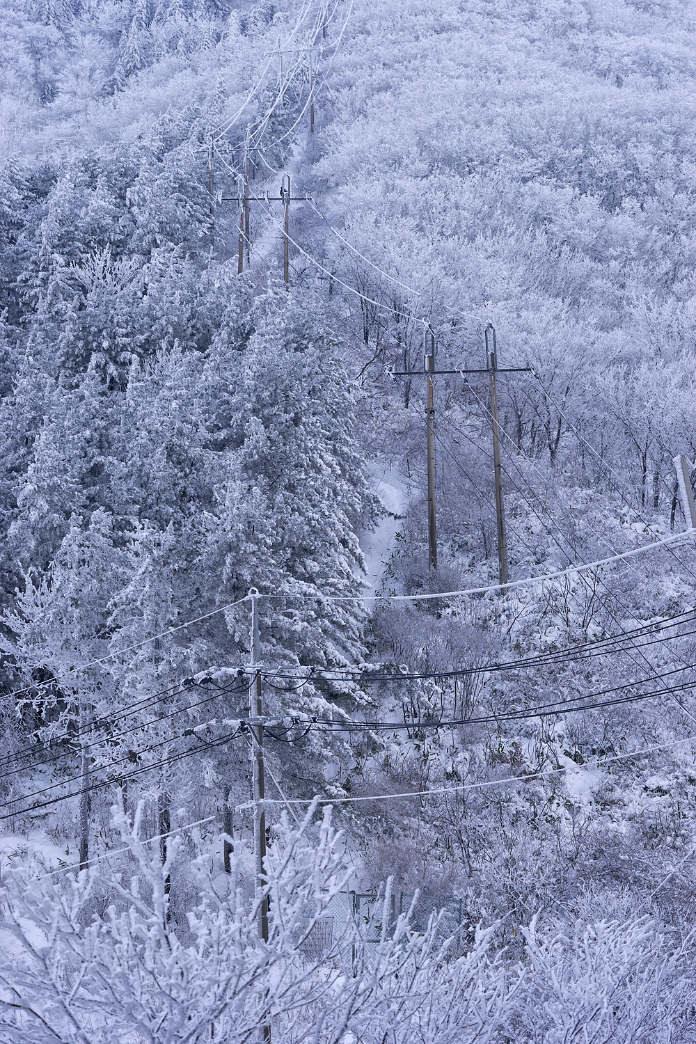 [a7m2&FE90] 숨은사람찾기 게임!!! - 소니 Talk