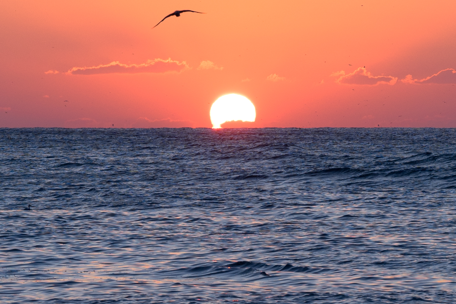 [a7m2&FE90] 산할아버지 구름모자 썻네, 바다오메가여사 구름치마 입으셨네.. - 소니 Talk