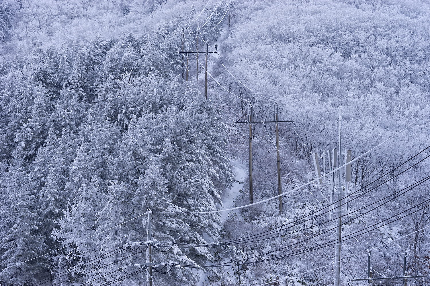 [a7m2&FE90] 숨은사람찾기 게임!!! - 소니 Talk