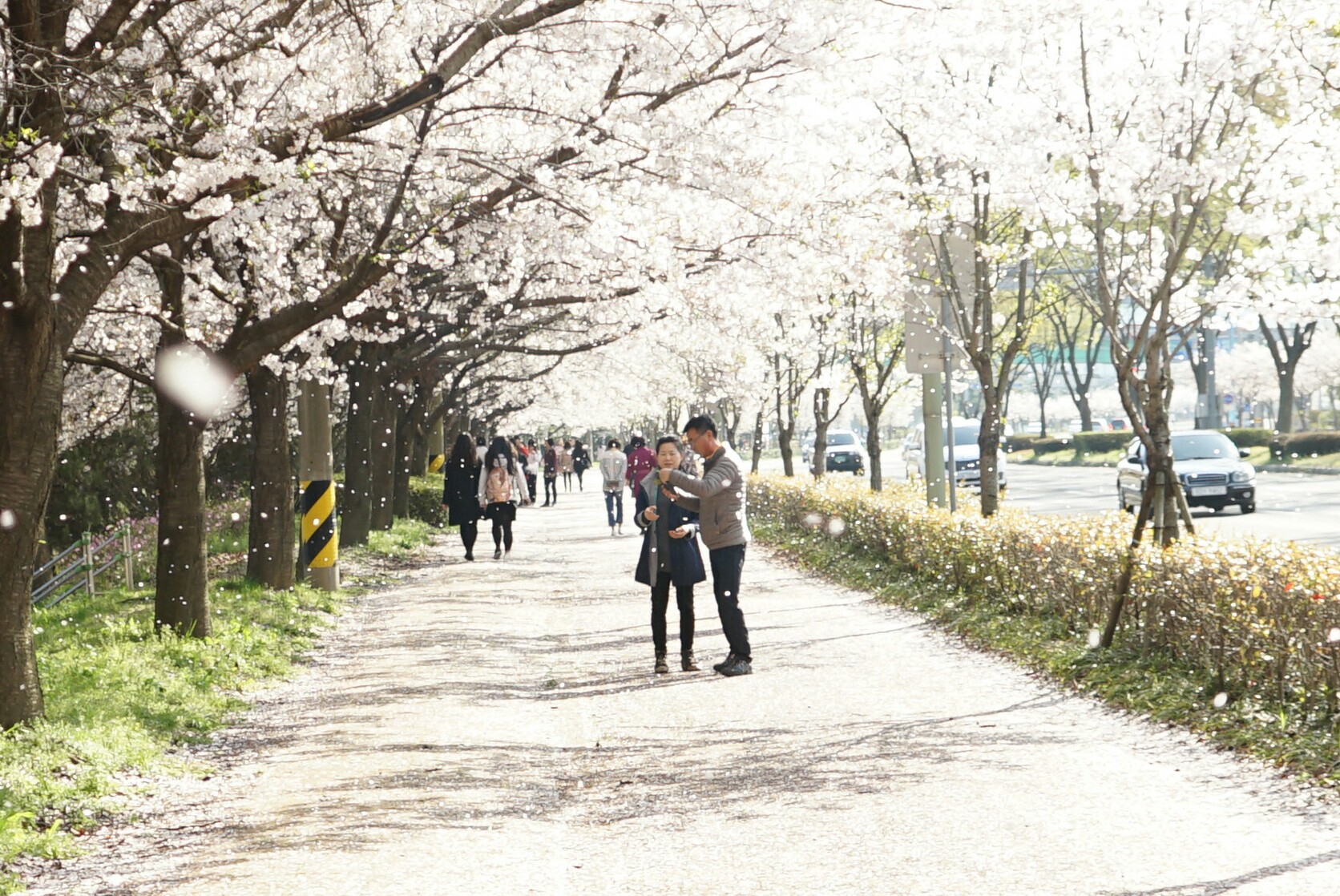 [A7M2+2870] 외출 - 소니 Talk