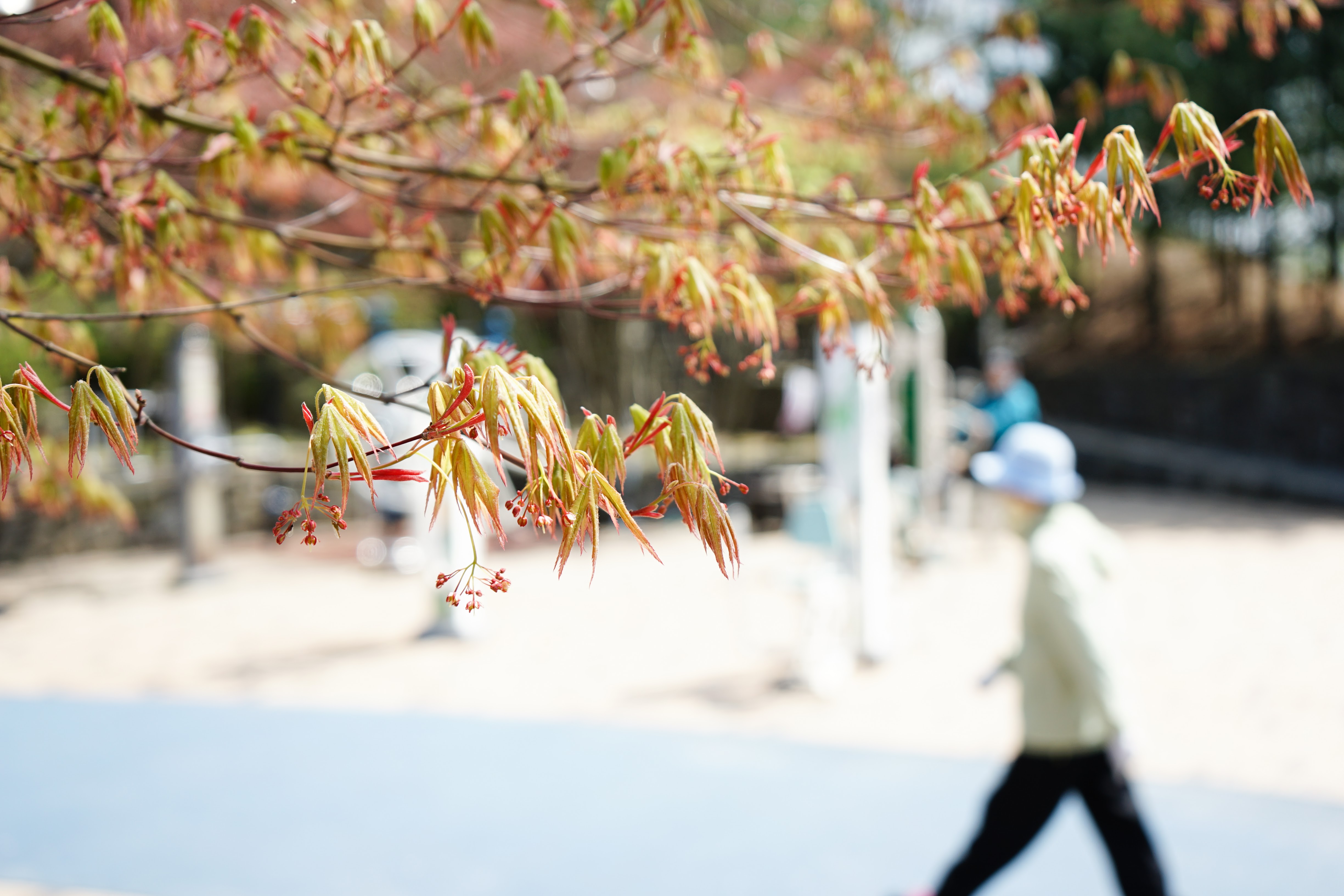 (a7m2)공원 - 소니 Talk