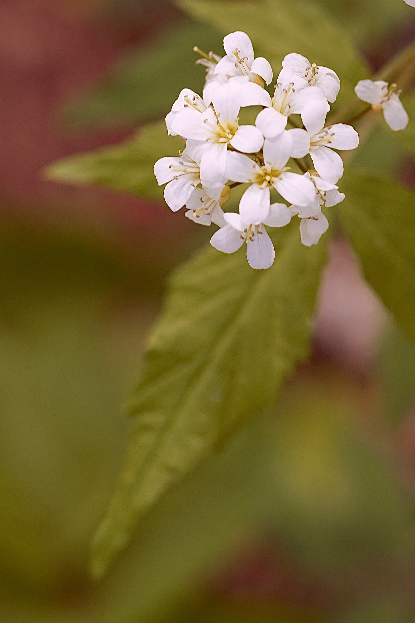 [A7M2] 즐거운 금요일 입니다.^^ - 소니 Talk