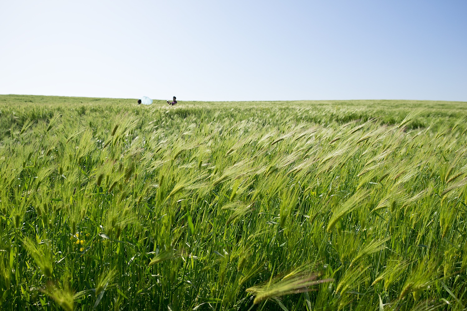 [a7m2]스토리가 있는 사진 - 소니 Talk
