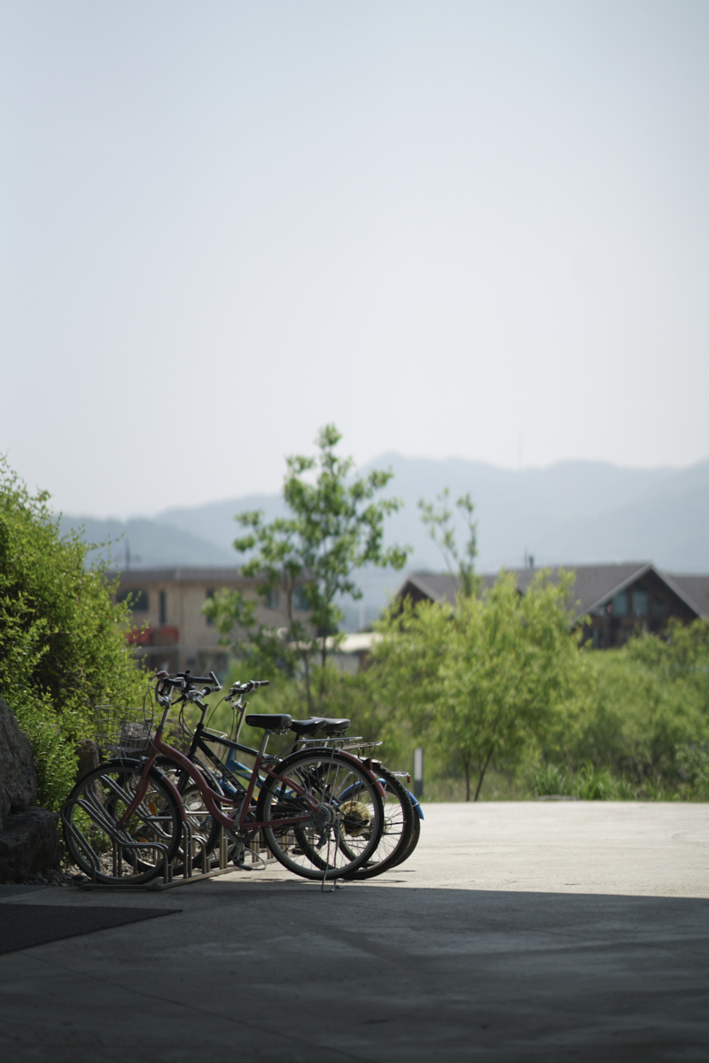 [a7r2 + 85.4] 자전거 - 소니 Talk