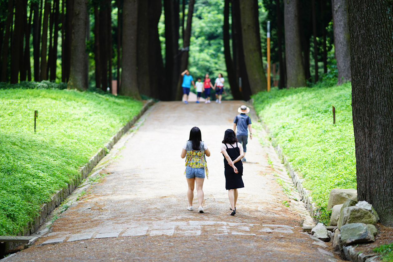 [A7R2+85.4GM 외]주말에 찍은 사진들 몇장 - 소니 Talk