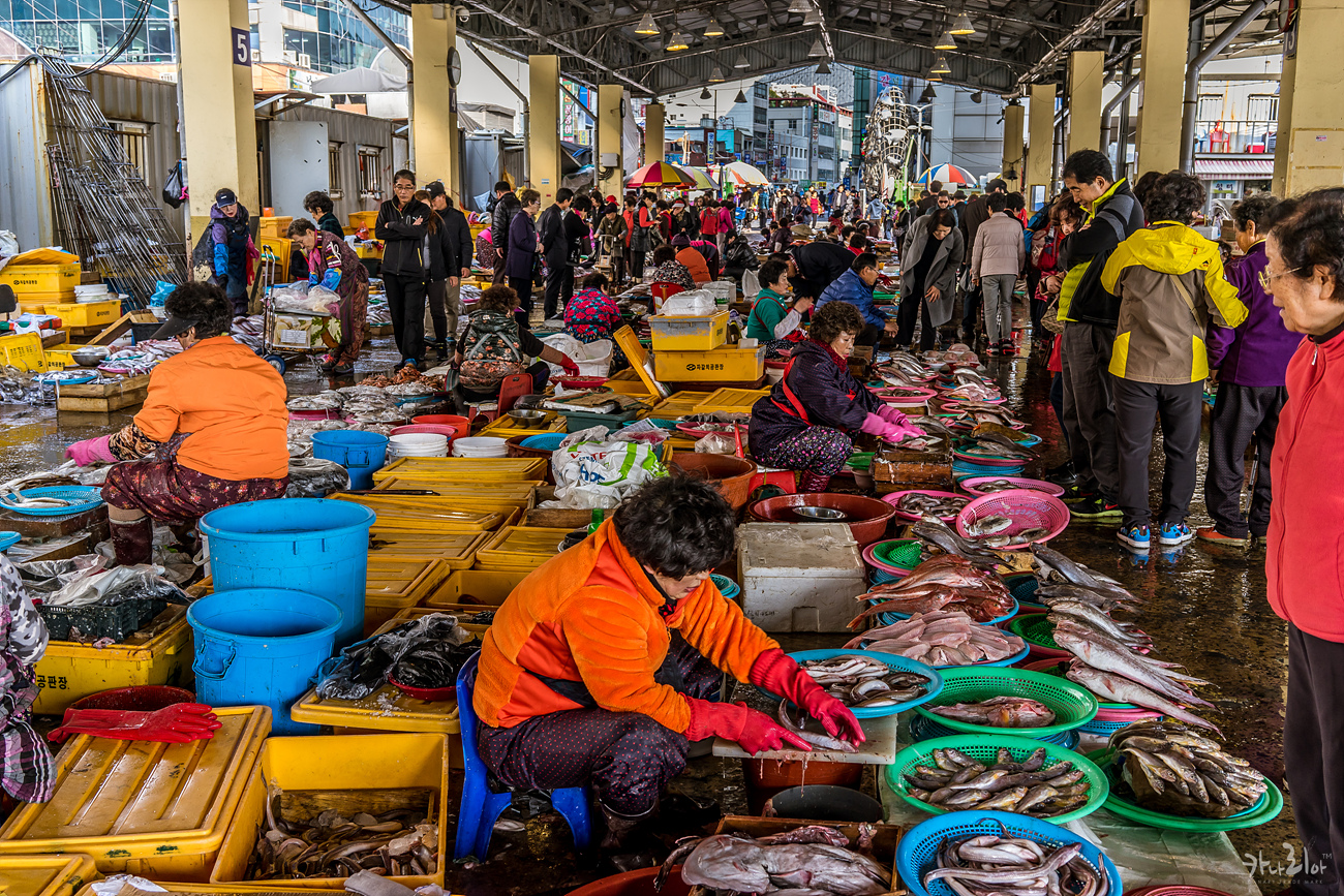 [a7M2] 부산 자갈치 - 소니 Talk