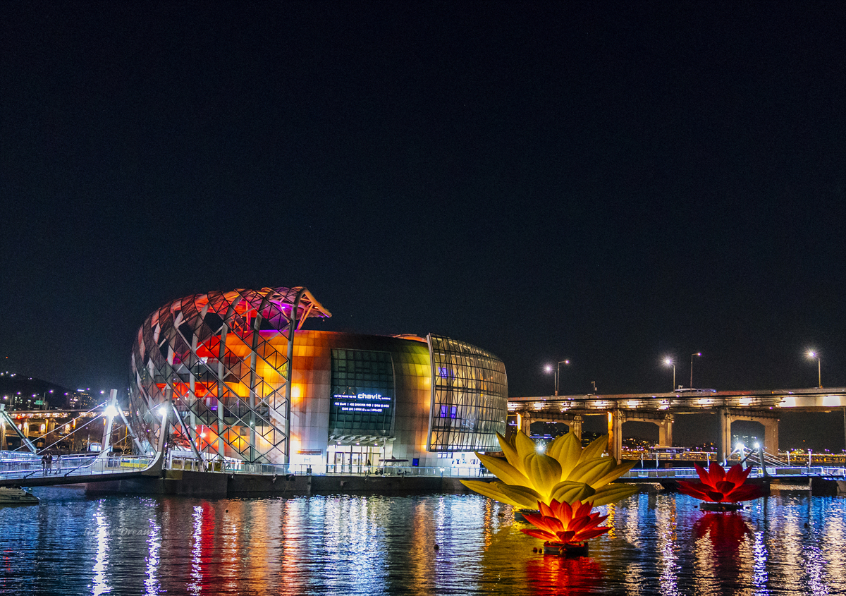 [a7r2, 85, 2470] 세빛 둥둥 연꽃 - 소니 Talk