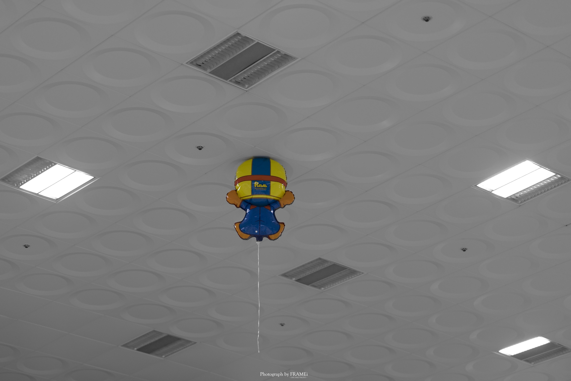 [A7R2|85GM] 길 잃은 친구 - 소니 Talk