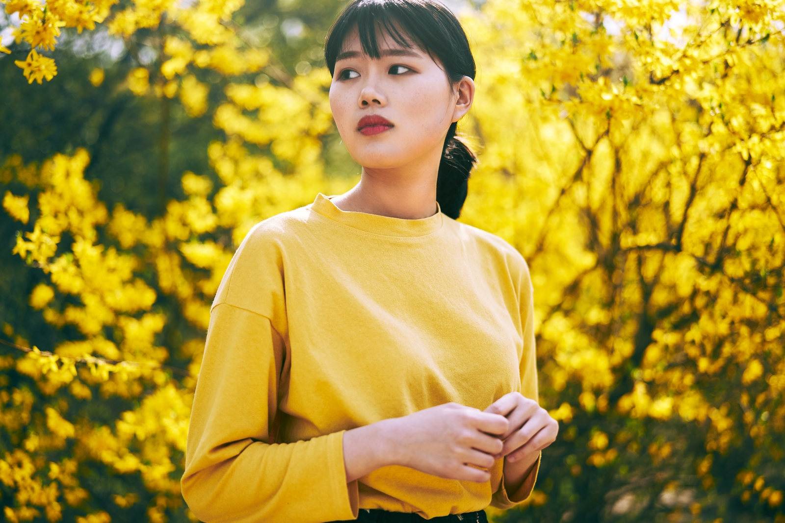 [A7M2 + SEL50F14Z] Yellow - 소니 Talk