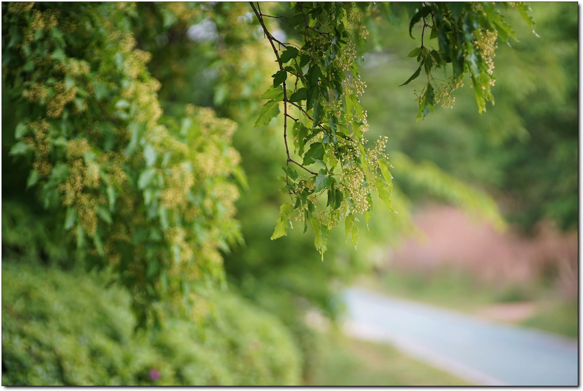 a7r2/ 100stf 좋네요.. - 소니 Talk