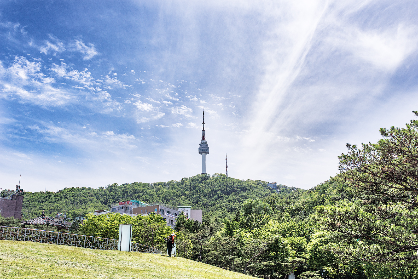 [A7m2] 남산 둘레길 - 소니 Talk
