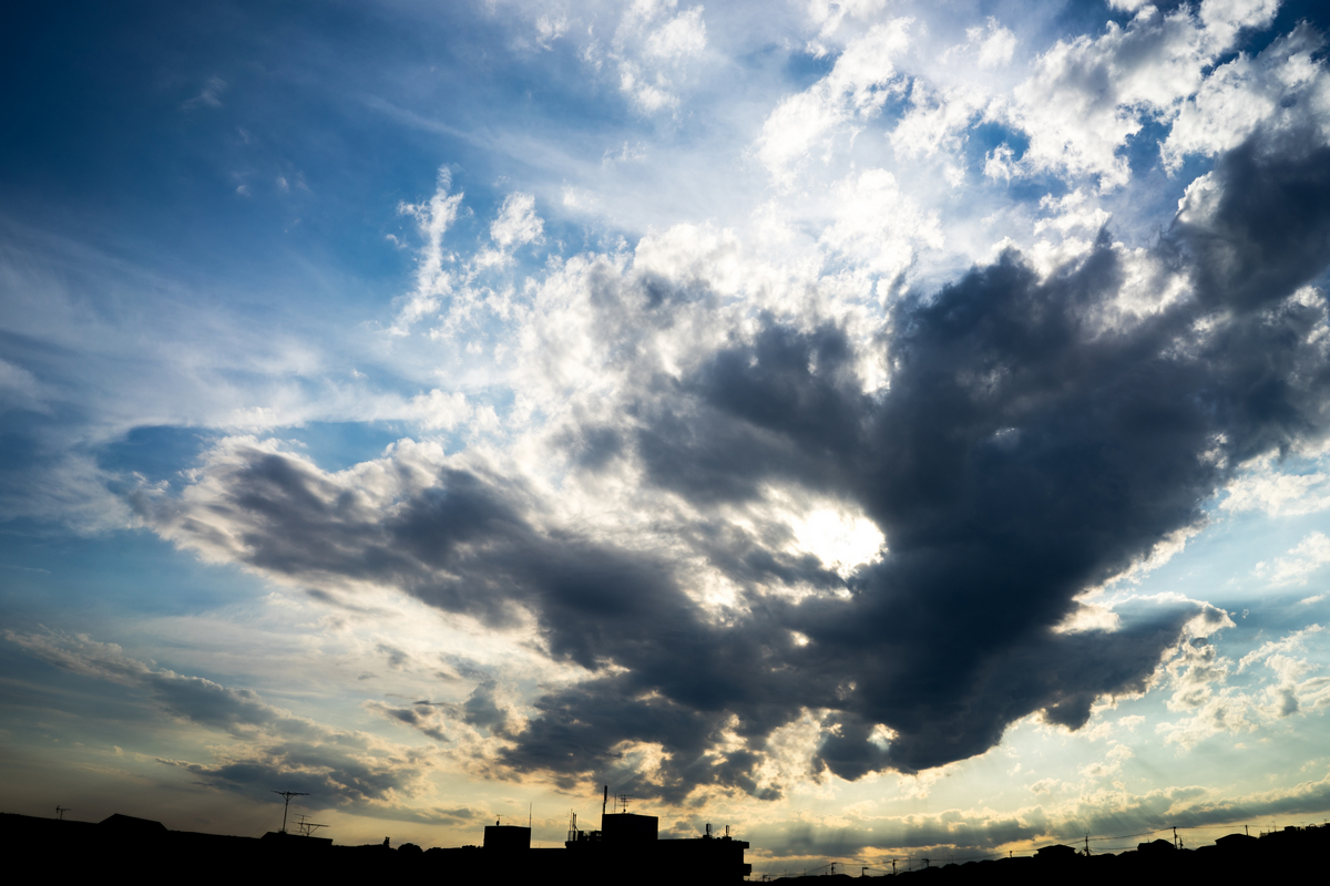 [a7m2+28/2] 거대 불사조 - 소니 Talk