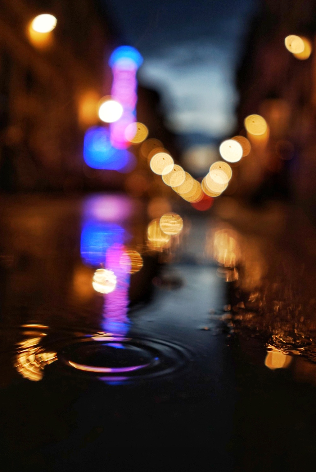 [A7m2+fe35f28za] 피렌체에서 만난 비. 둘중 하나 선택좀 부탁 드립니다. - 소니 Talk