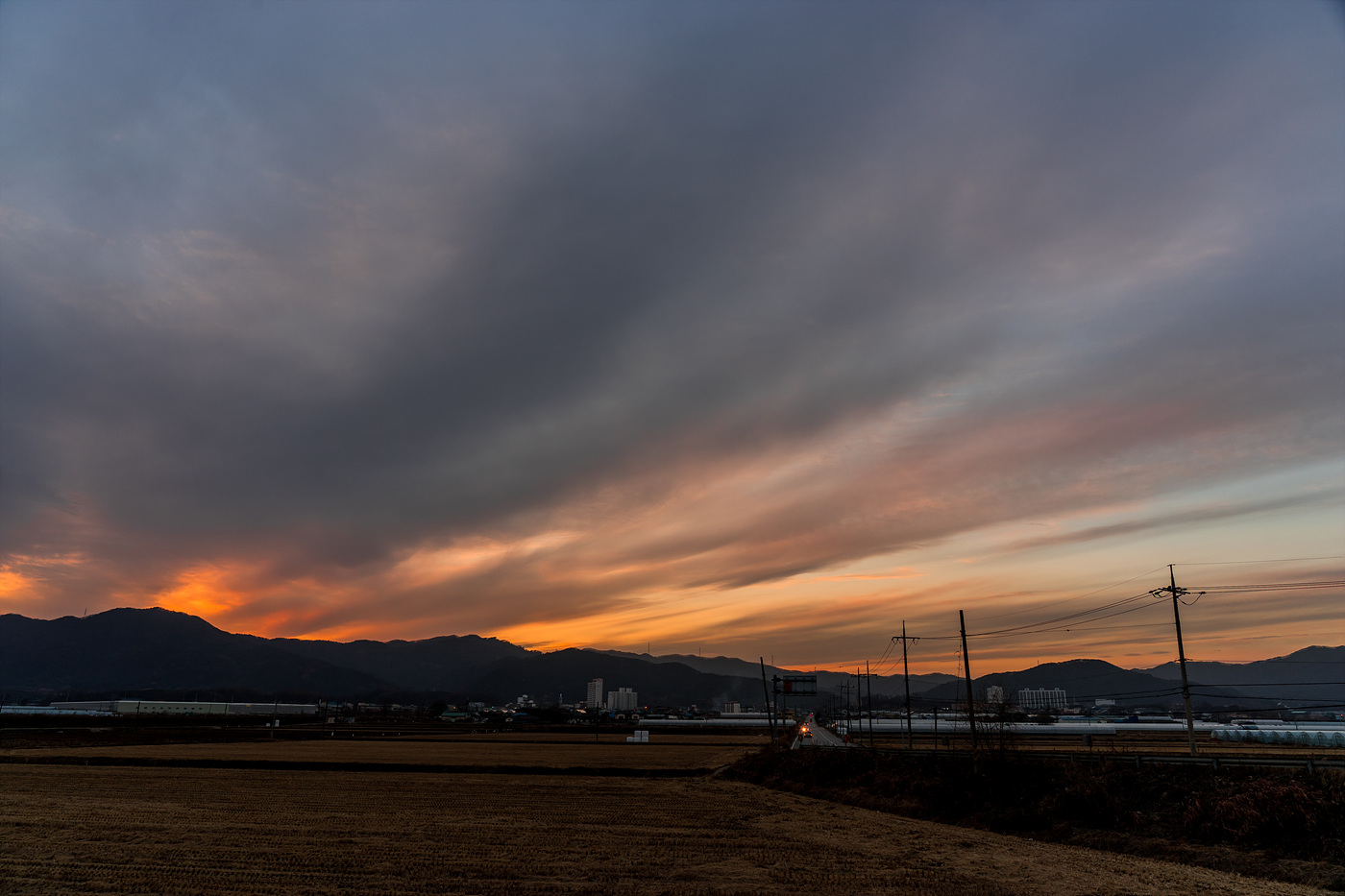 a7m2] 24-105g 테스트 짤방 - 소니 Talk