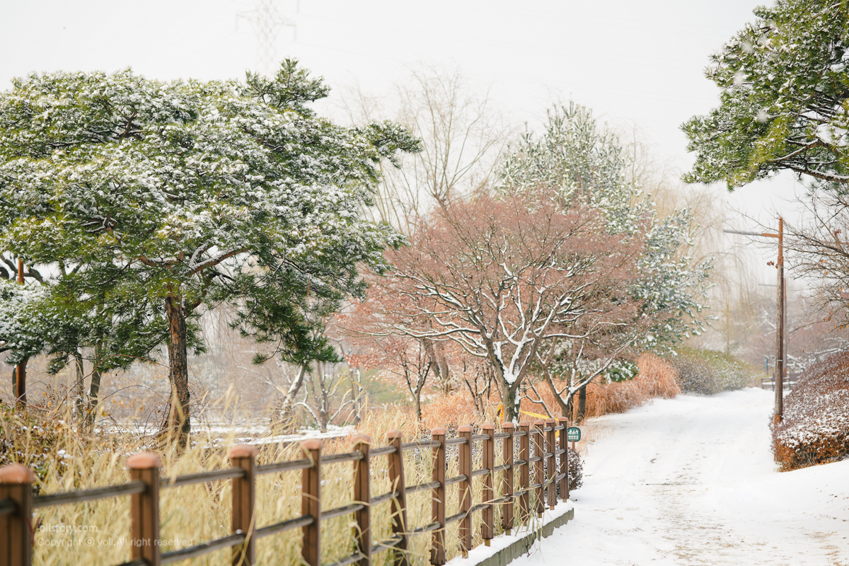 [A7R3+85GM] 눈내린 선유도공원 - 소니 Talk