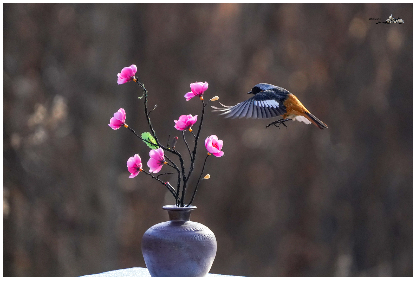[A7R3]100400GM 포식하는 산새들.. - 소니 Talk