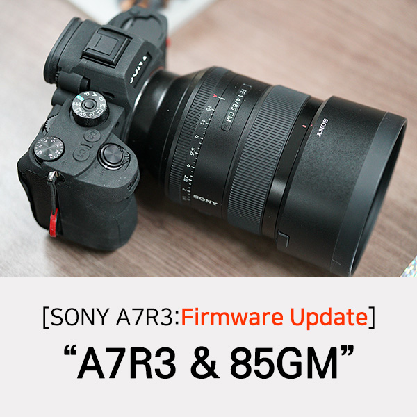 [A7R3 with FE85GM] 구형펌업에서의 워블링 현상.. 바디및 렌즈 펌업하세요!! - 소니 Talk