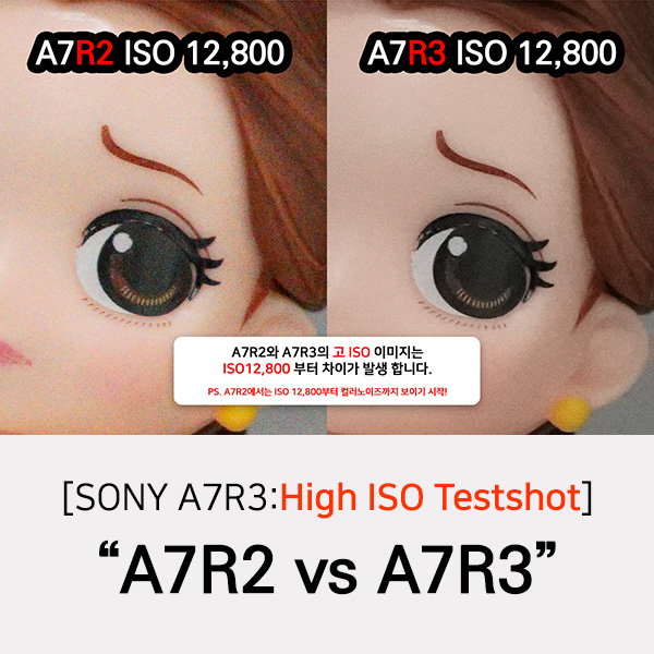 [A7R3] BSI FF 센서를 사용한 A7R2 vs A7R3의 고감도이미지 - 소니 Talk