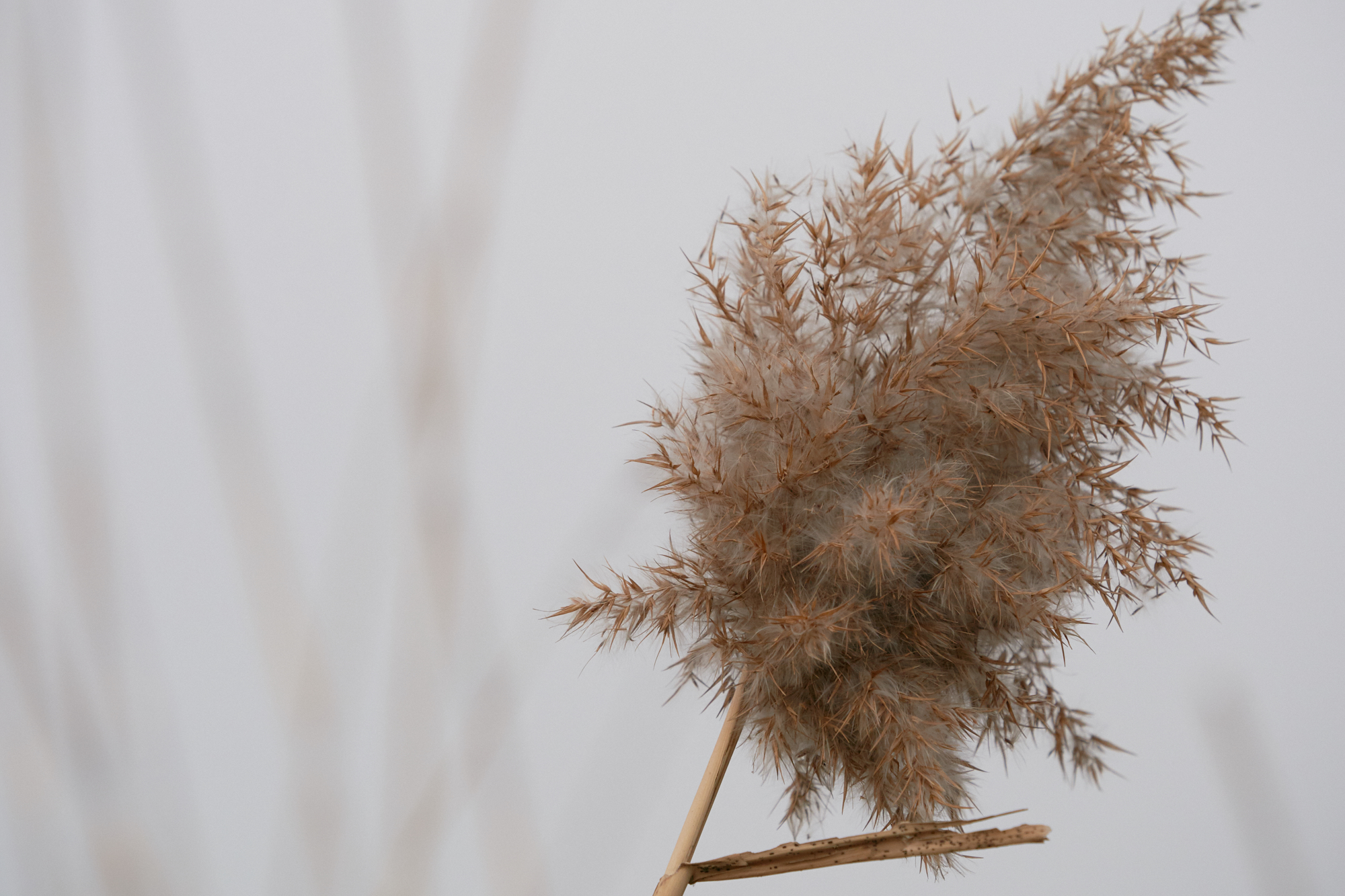 [A9 SEL100400] 강가에서 - 소니 Talk