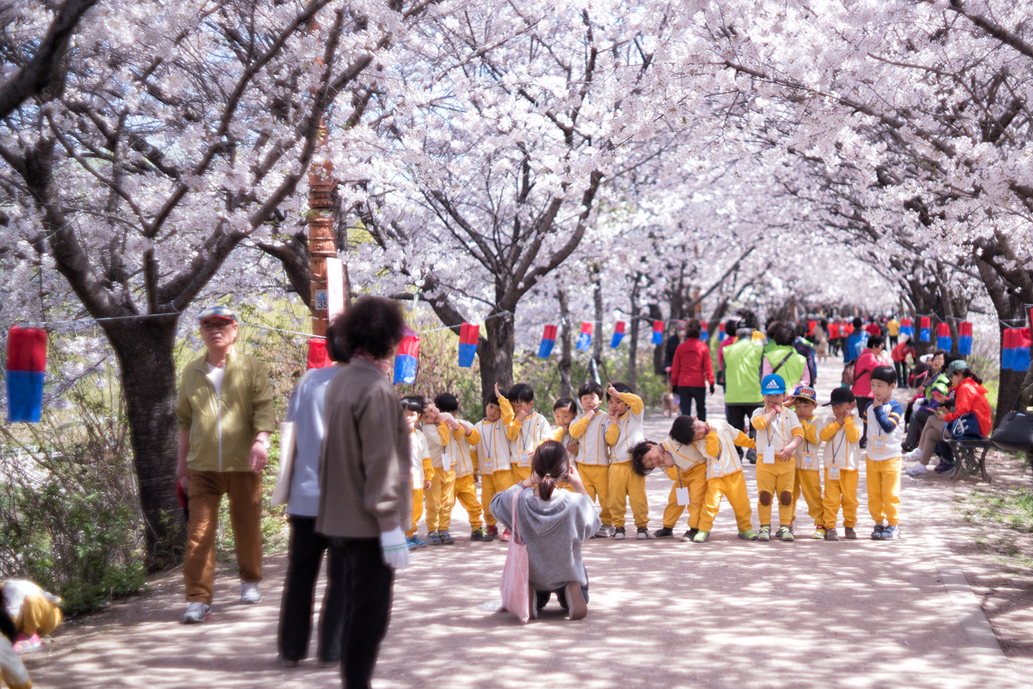 [A7R2] 이번엔...화사하고 밝은 사진...곧 만나게 될 벚꽃연가!! - 소니 Talk