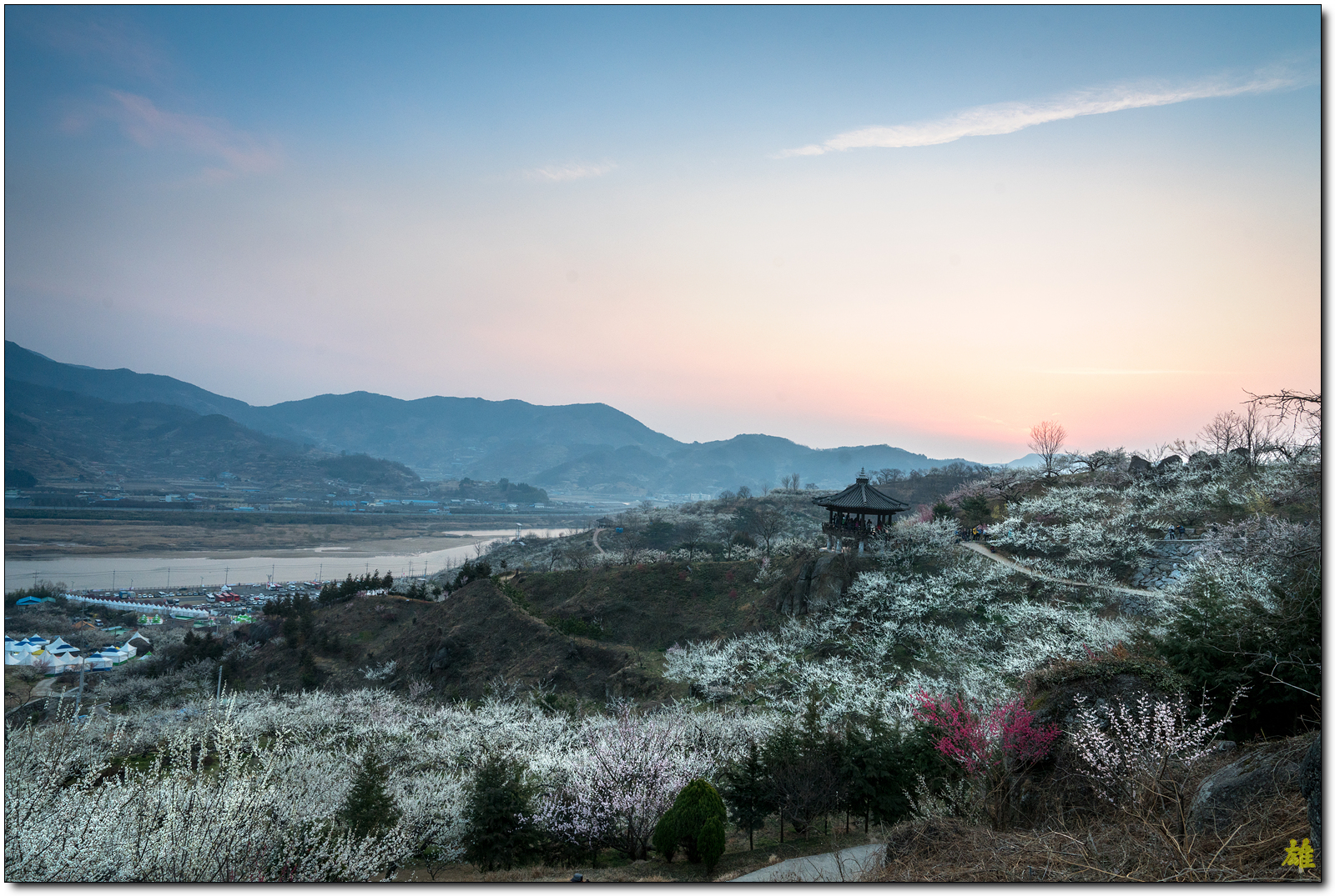 [A7R2] 광양 매화마을의 아침. - 소니 Talk