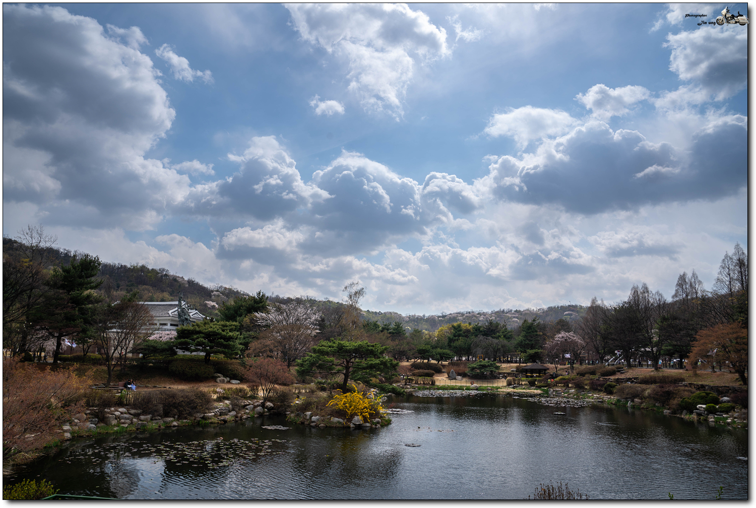 [A7R3]2470GM 외, 동작동 현충원 벚꽃 - 소니 Talk