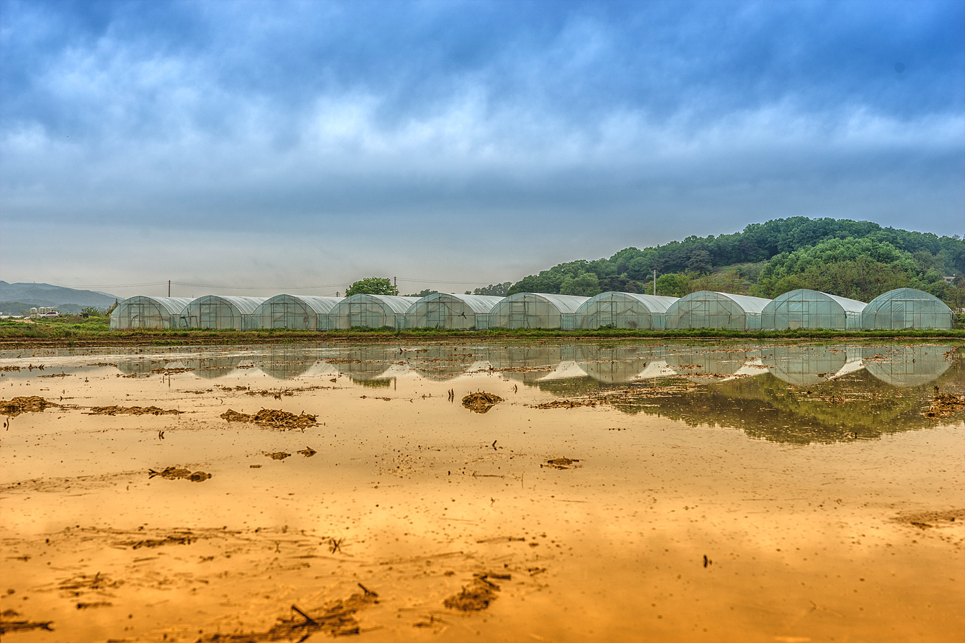 a7m2]짤방 두장 올리고 출근합니다 - 소니 Talk