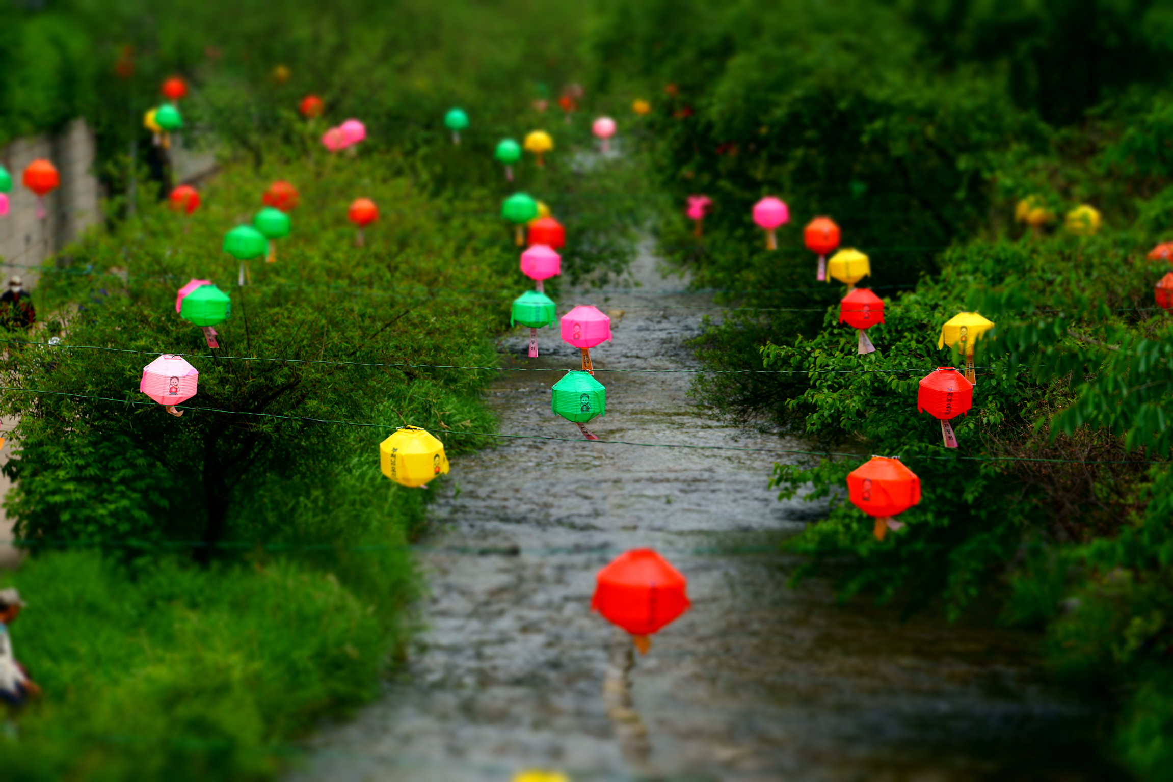 [a7r2 + 70200gm] 청계천 오늘 풍경 - 소니 Talk