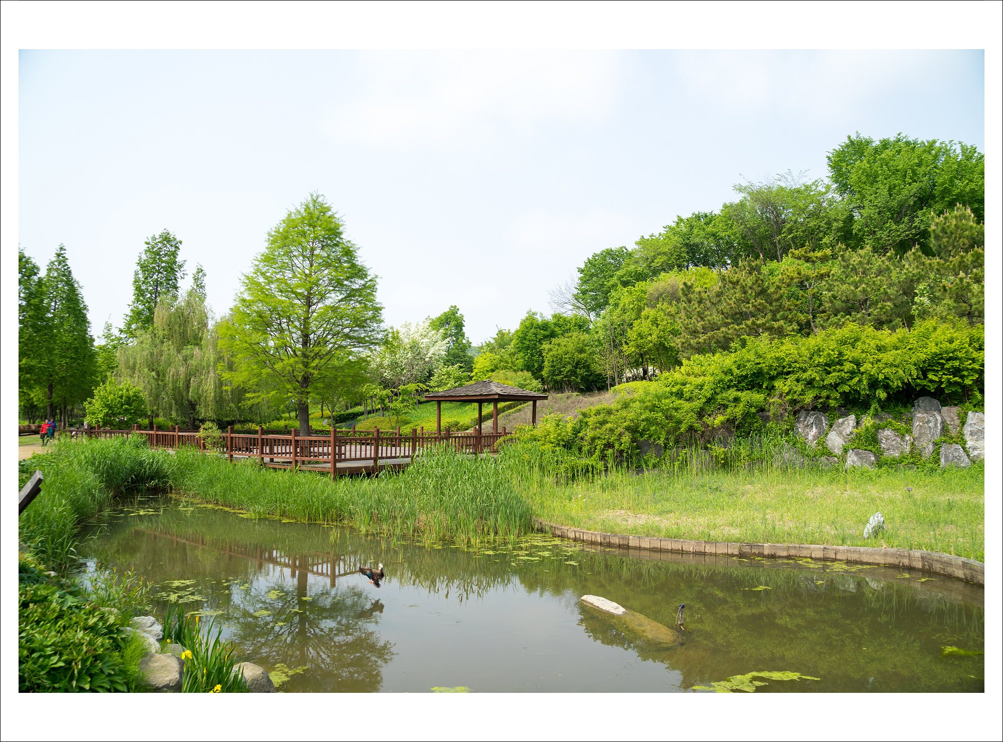 [a7m2] 인천대공원 풍경 ...................... - 소니 Talk