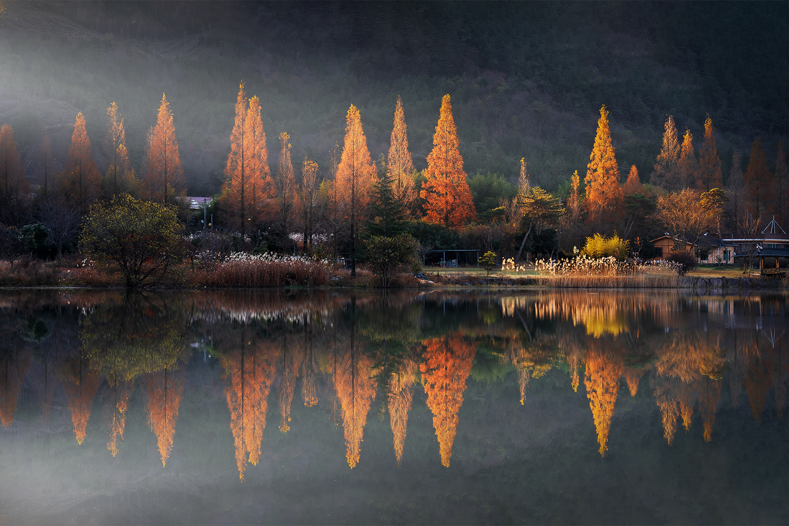 [α7Ⅲ+24105g] 아침 빛 - 소니 Talk