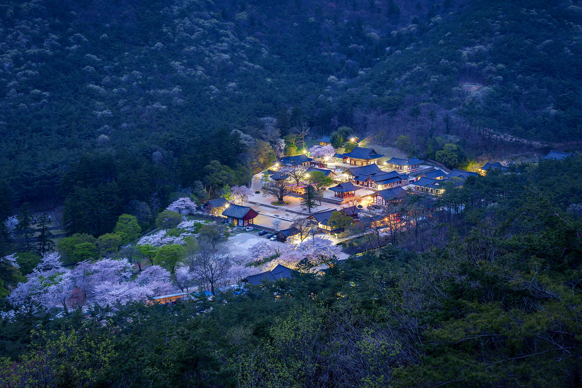 [α7Ⅳ+24105g] 내소사의 봄(야경) - 소니 Talk