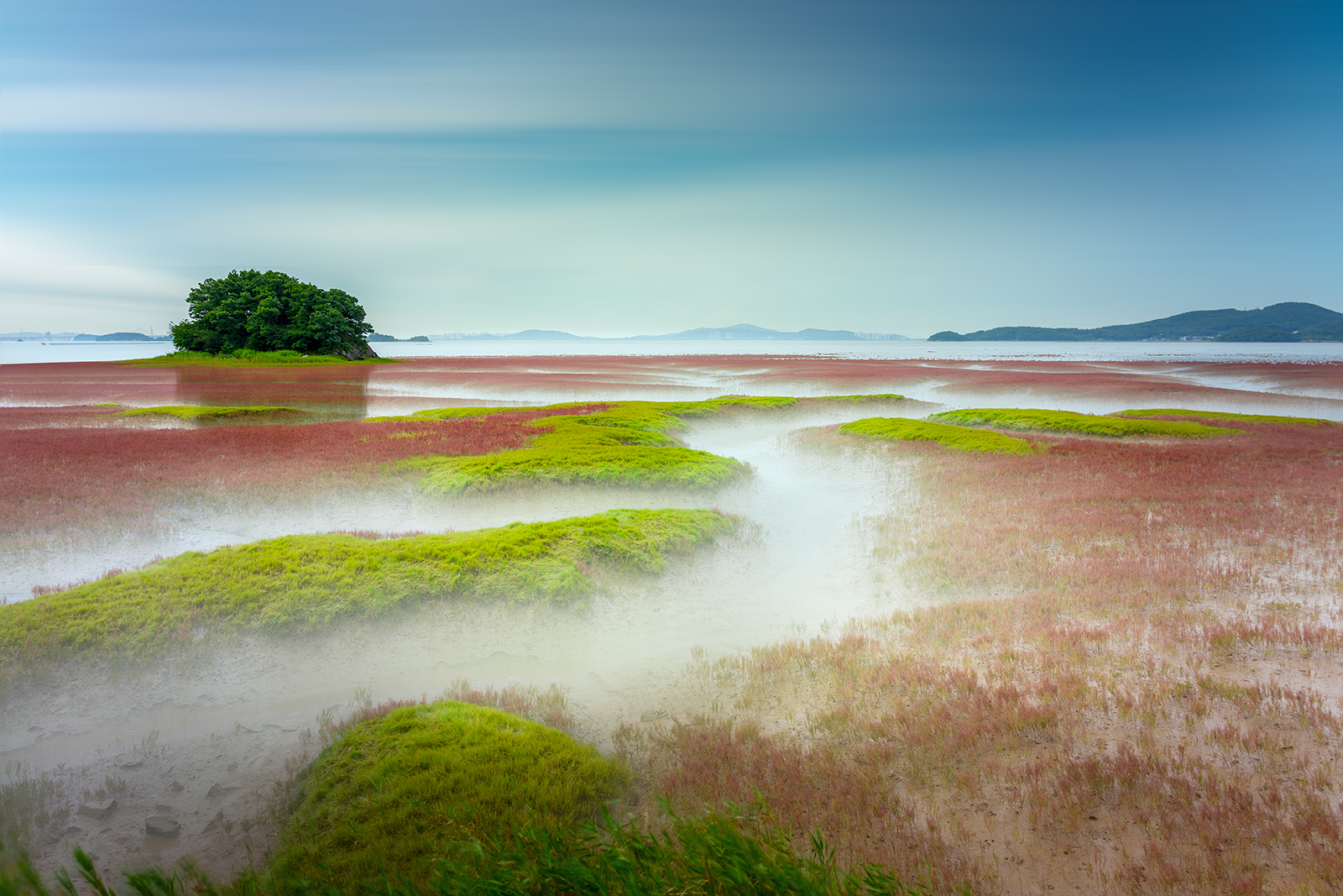 [α7Ⅳ+24105g] 갯골의 물이 빠져나갈 때 - 소니 Talk