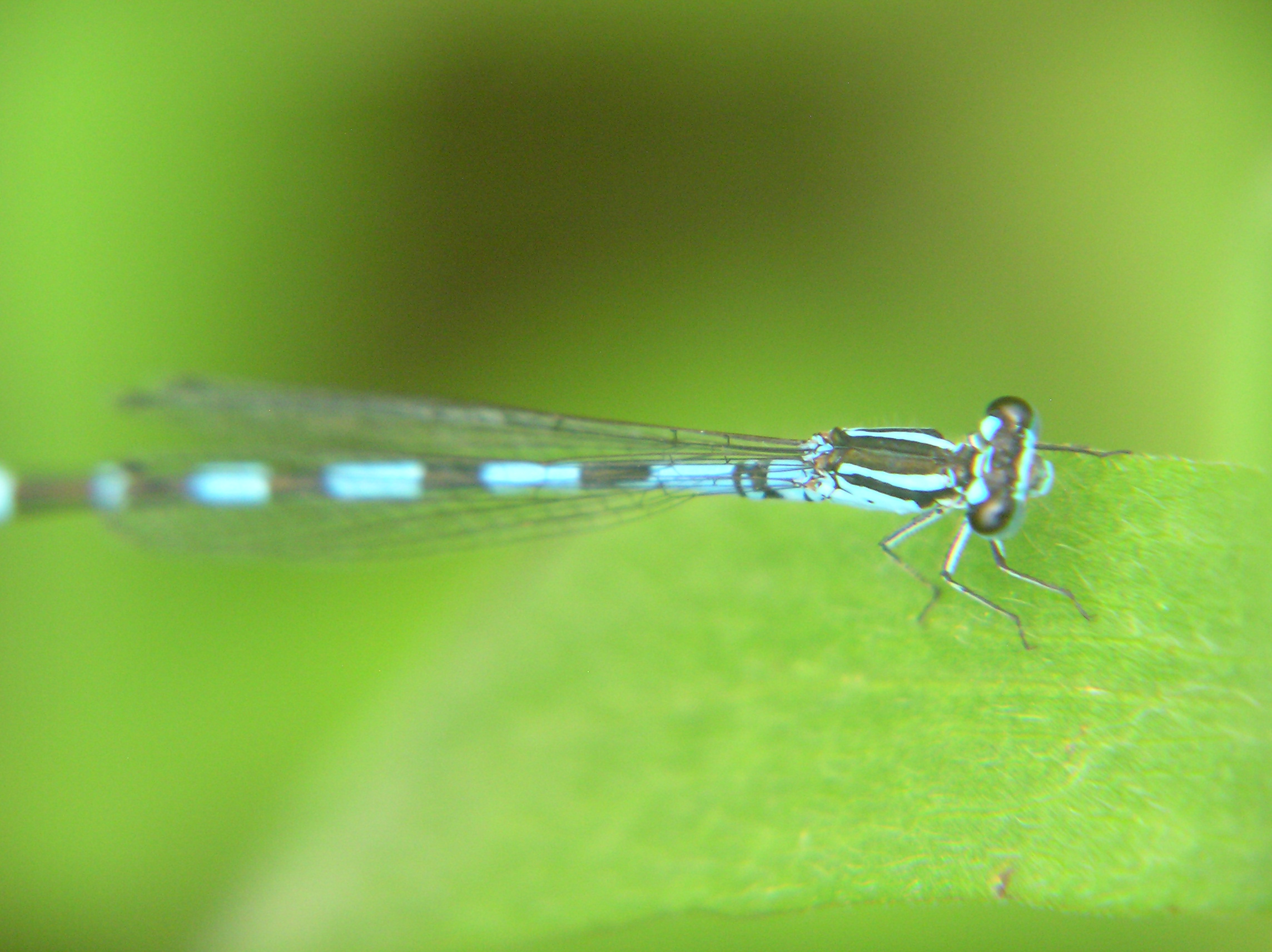 dkdkk - 팝코넷 | 포토 갤러리