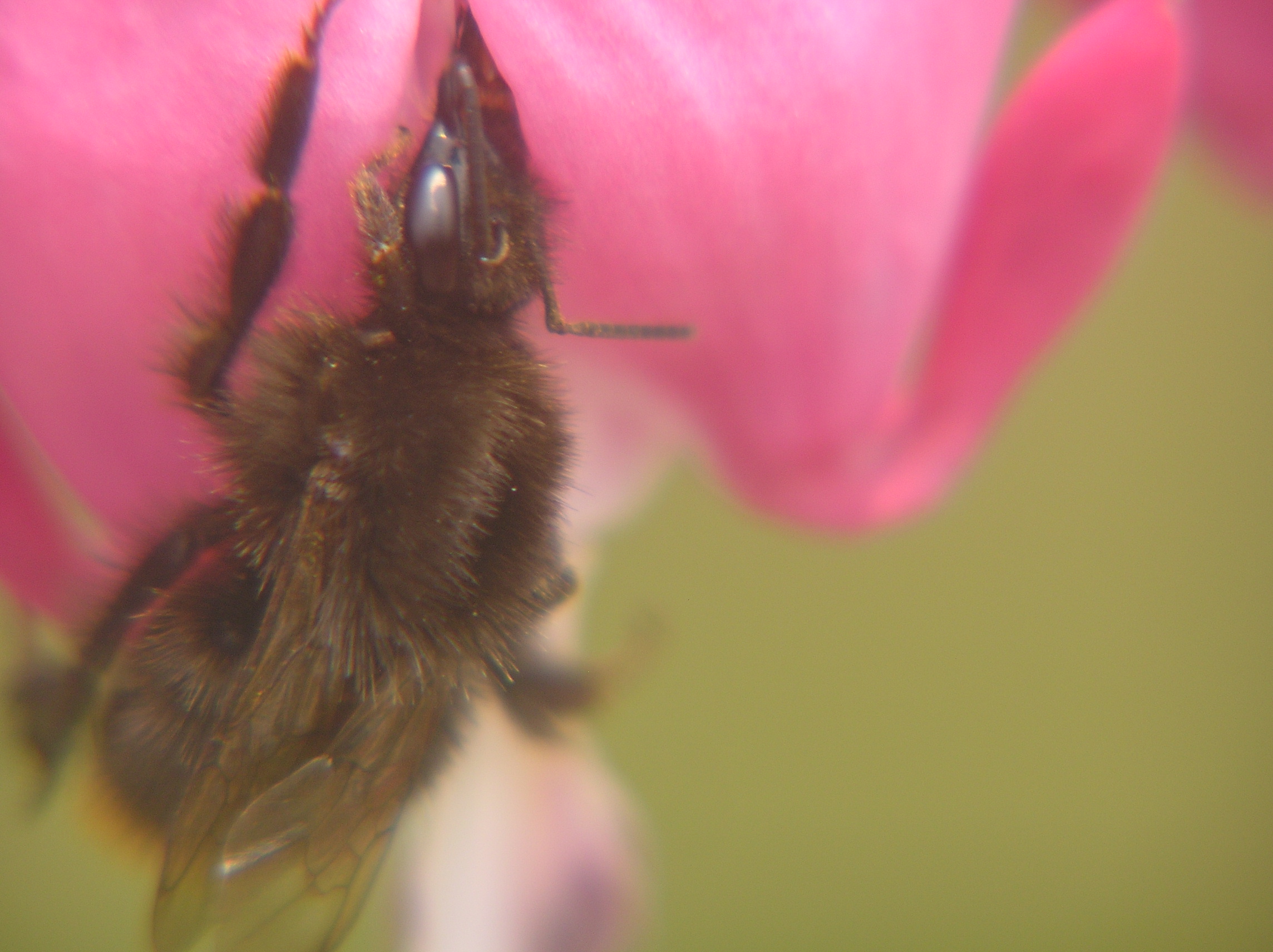 dkdkk - 팝코넷 | 포토 갤러리