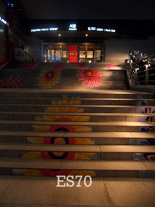 밤에 피는 꽃 - 팝코넷 | 포토 갤러리