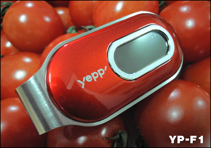 삼성 MP3P yepp YP-F1
